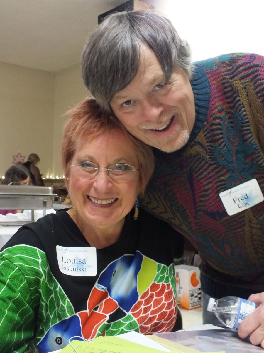 From the Acting CEO: 2023 Annual Report | Mickaboo